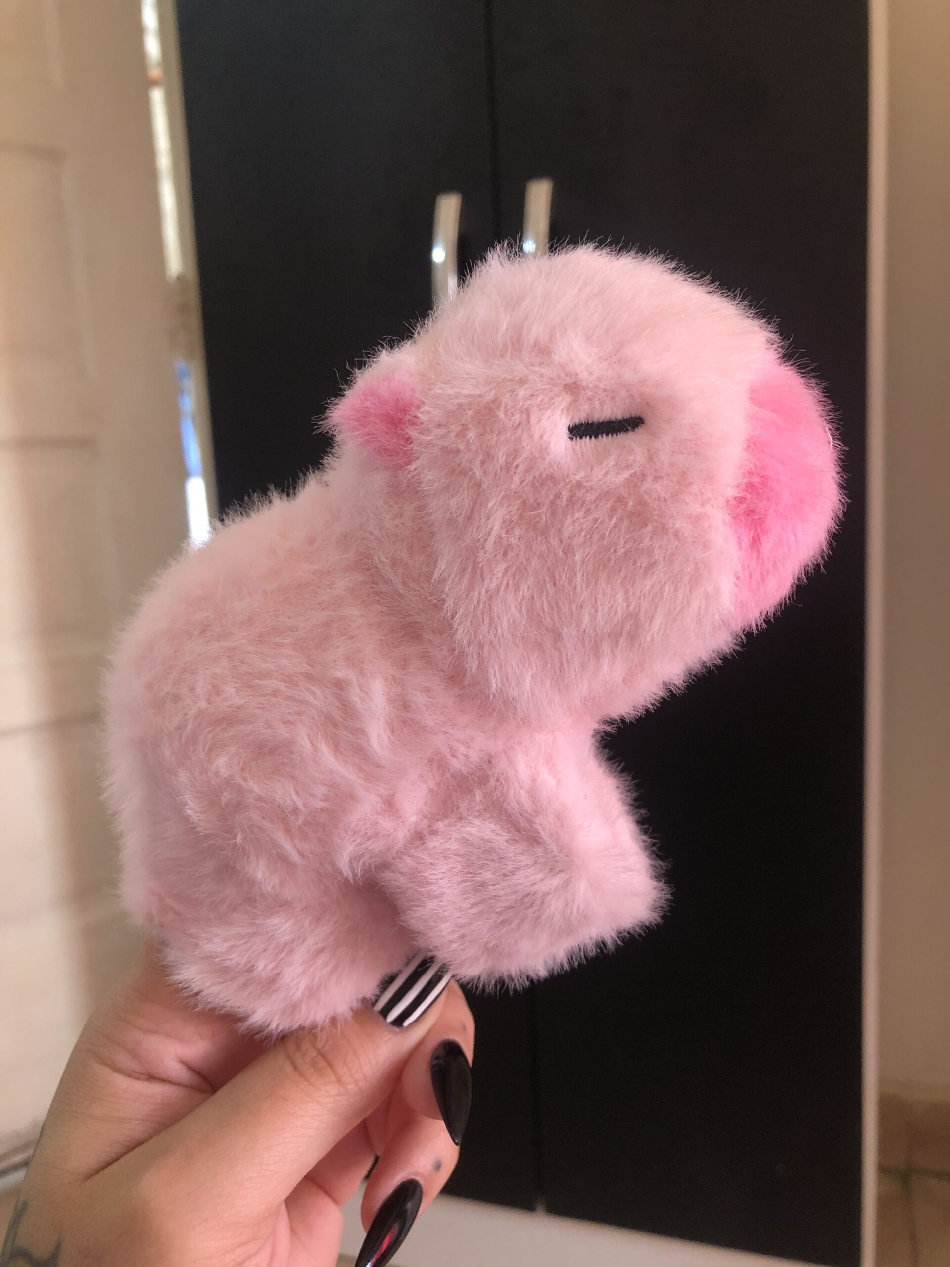 Carpincho capybara abrazador rosa – Ataraxia